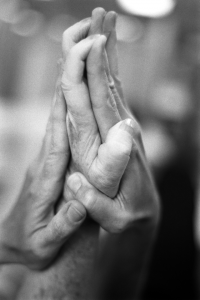 DPT Program Stages an Art Show: Using Art to Develop a Heart for the ...