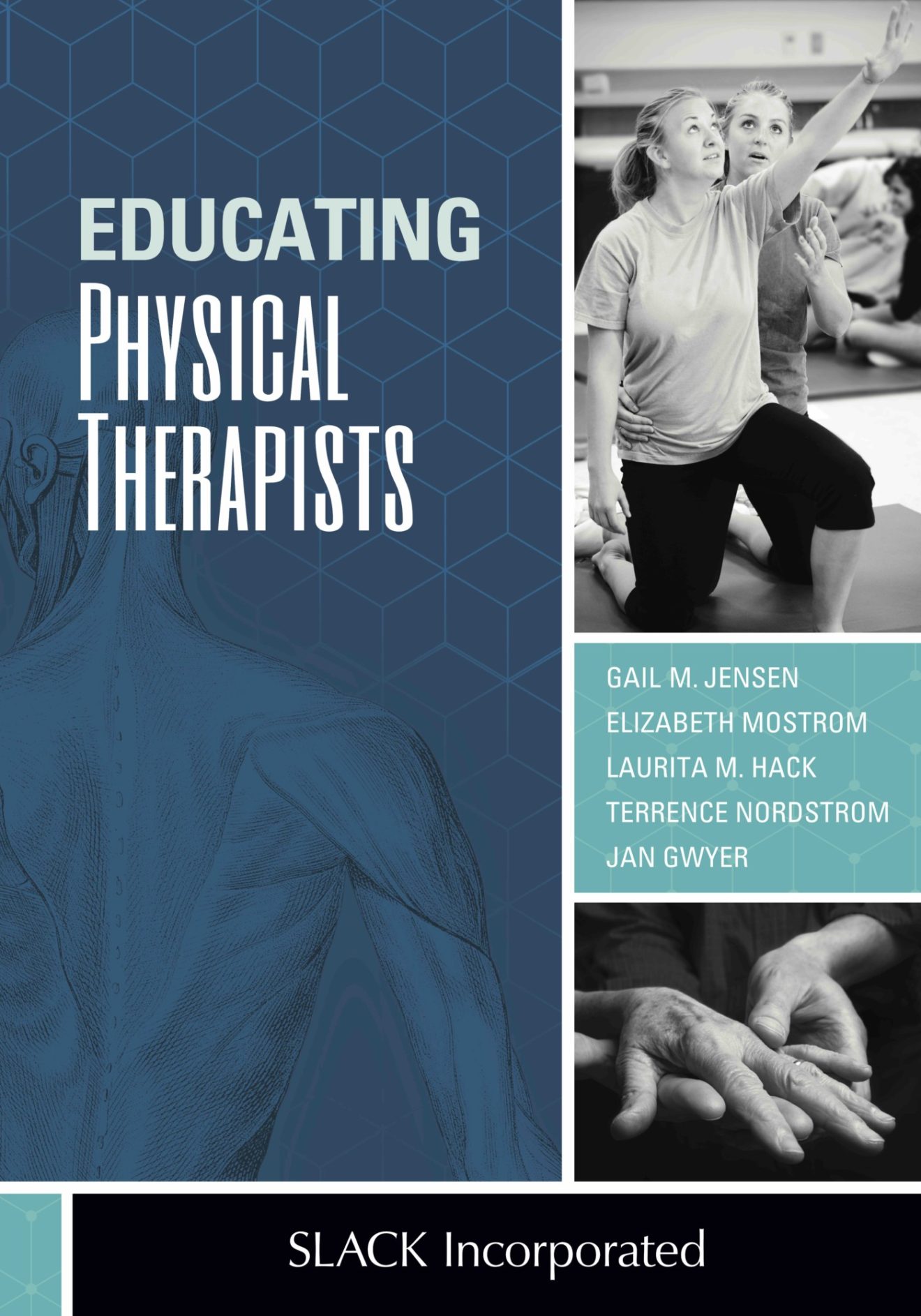 Exploring Excellence: Author Reflections on Educating Physical ...