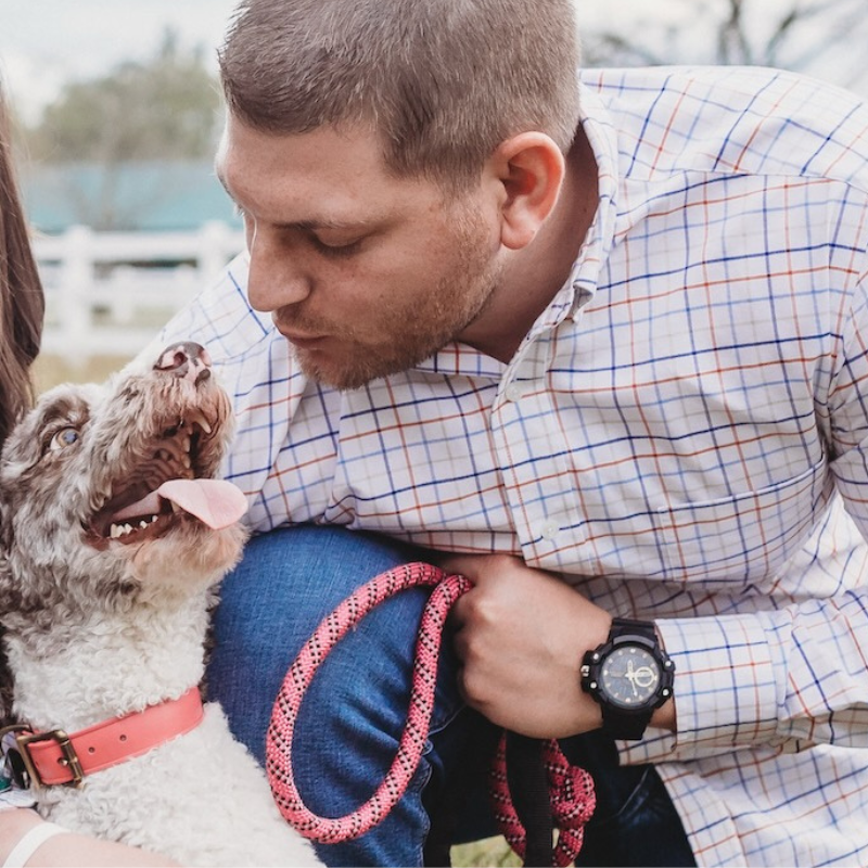 Rock n’ Roll Canine – Journal of Humanities in Rehabilitation